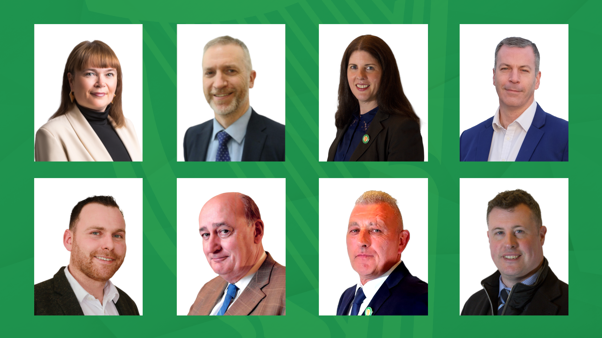 Volunteers - The Irish Freedom Party